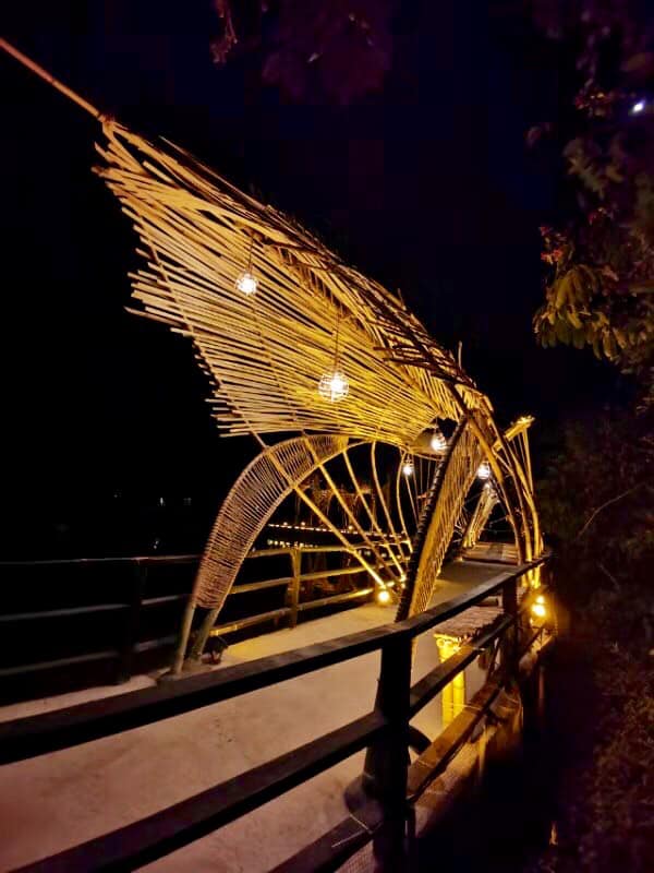 Night view of the project “Phoenix”